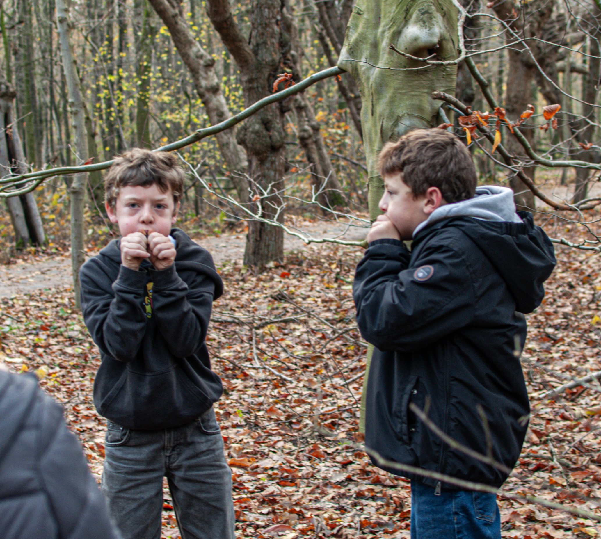 Hoe fluit je op een notendopje? | Jonge ontdekkers | Arteveldehogeschool